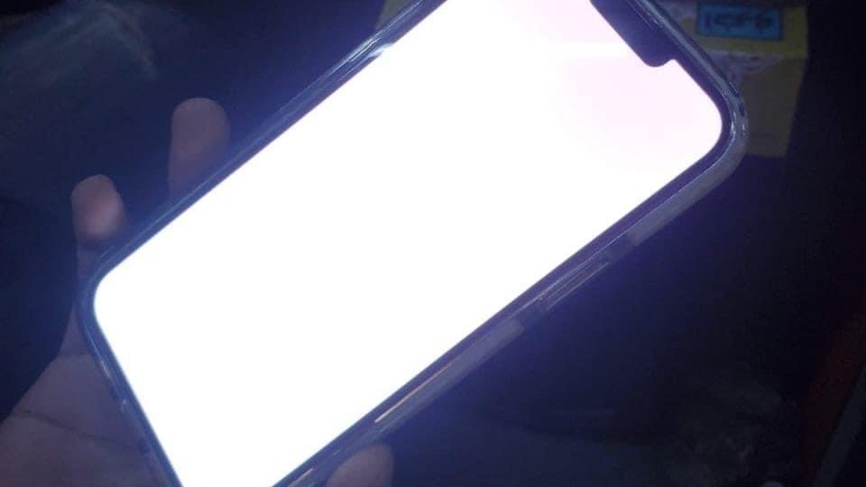 Petition · Program Penggantian Modul Paparan iPhone 13 bagi isu White ...