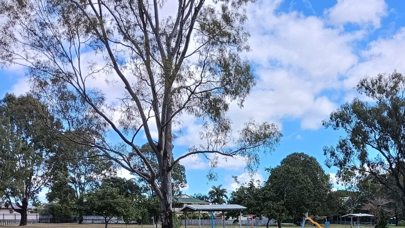 Petition · Install Public Toilets at Ted Price Park - Gracemere ...