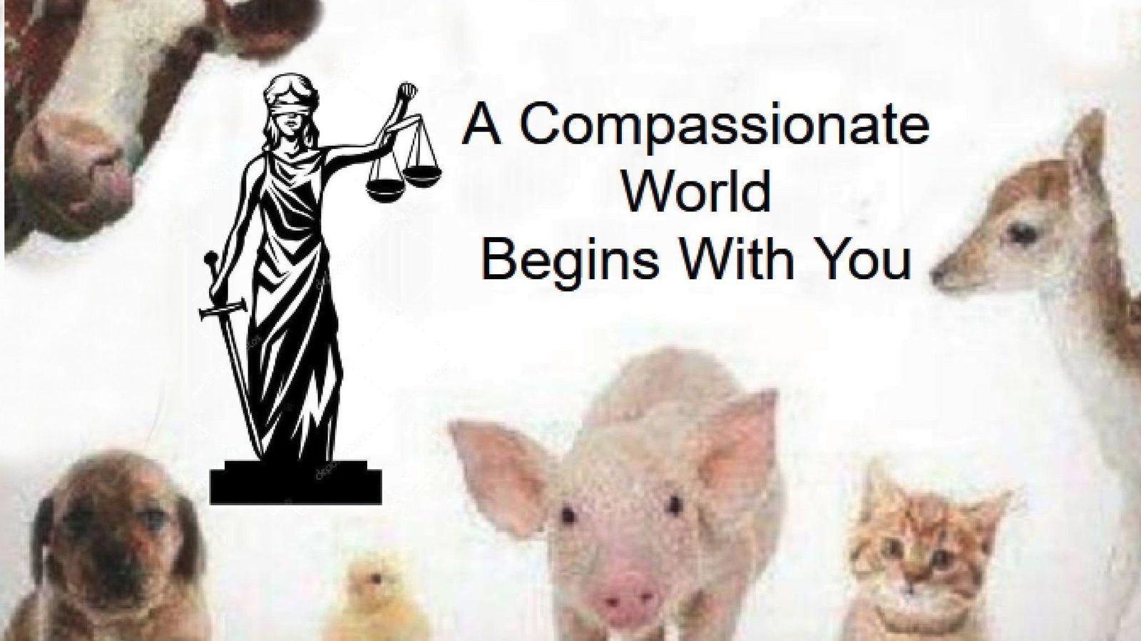 Petition · DO NOT APPEAL COURT DECISION - Canada · Change.org