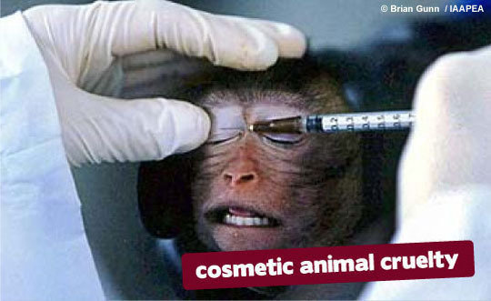 Petition · U.S. Residents: Ask Congress for Safe Cosmetics and Animal ...