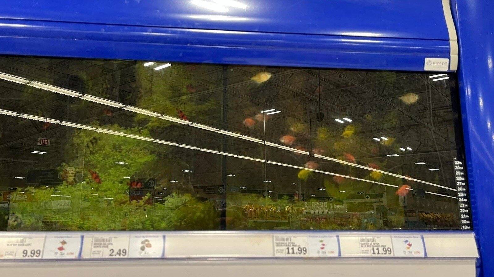 Petition · Ban Sale of Live Fish in Supermarkets - United States ...