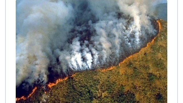 Petition · SAVE THE AMAZON - United States · Change.org