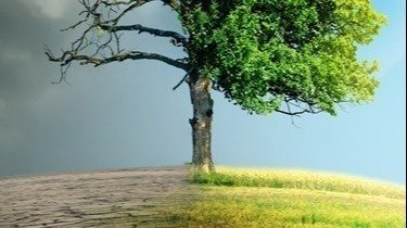 Petition · Stop the destruction of environment - Philippines · Change.org