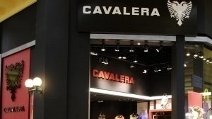 Petition · Recognition that the Cavalera brand is using the Albanian ...