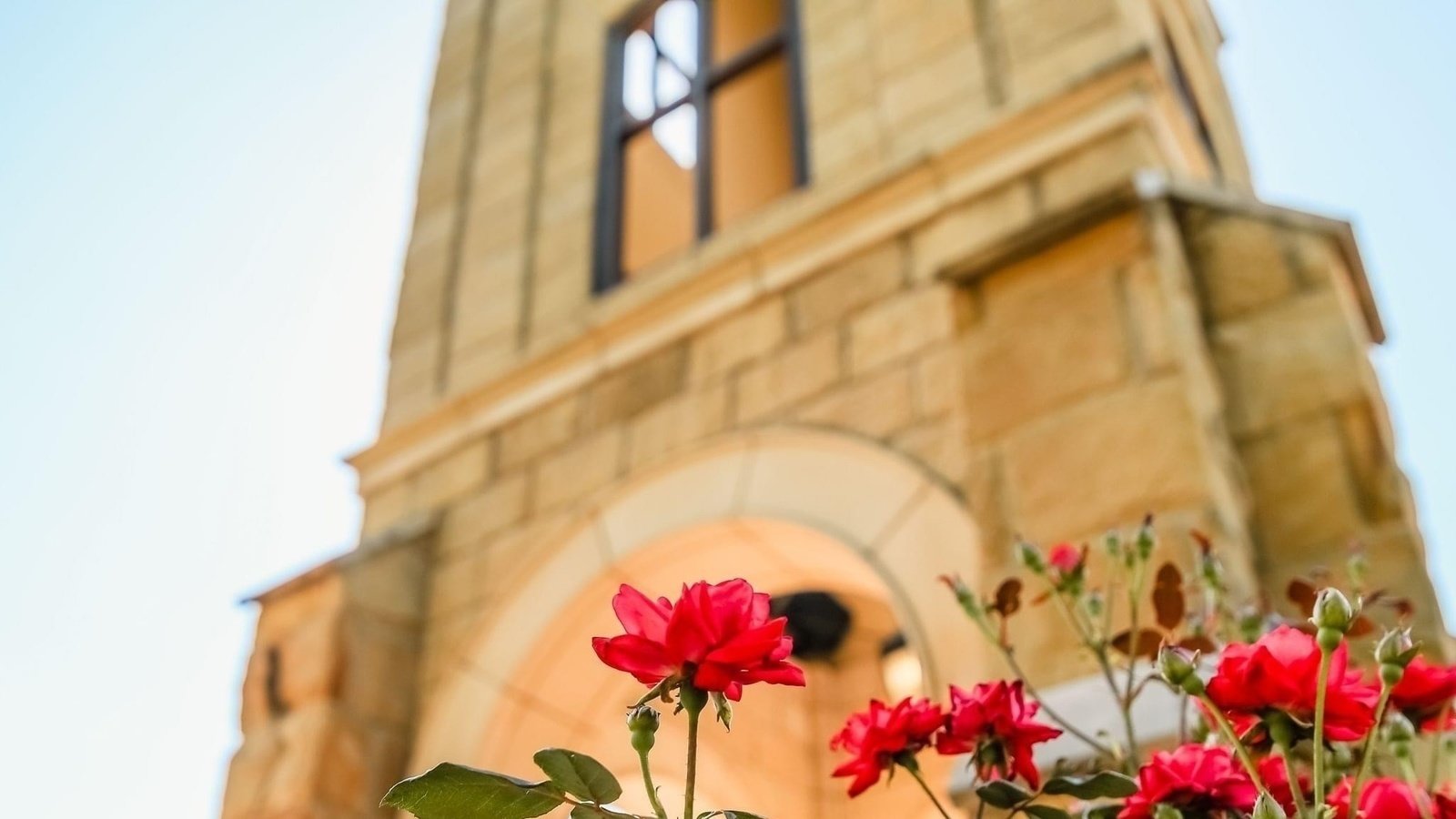 Petition · Delayed Graduation for December 2021 Graduates - Brownwood ...