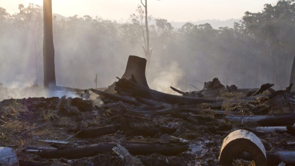 Petition · Protect our environment, protect our lives: No to Mountain ...