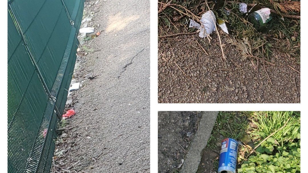 Petition · Clean Southall Alleyway between Allenby Road and Lovell Road ...
