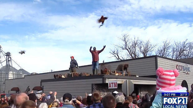 Petition · Stop the "Chicken Toss" and "Greased Pig" event at Ridgeland ...