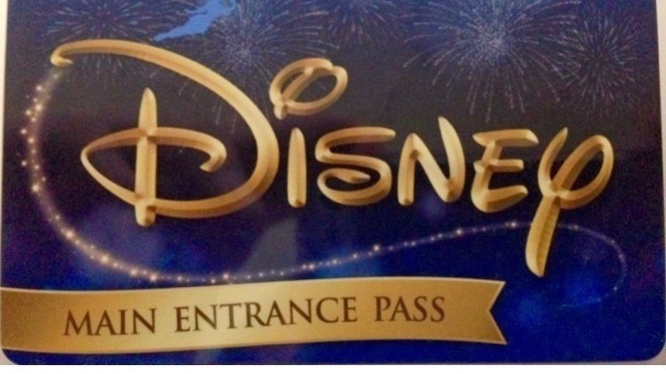 Main Entrance Pass Disney