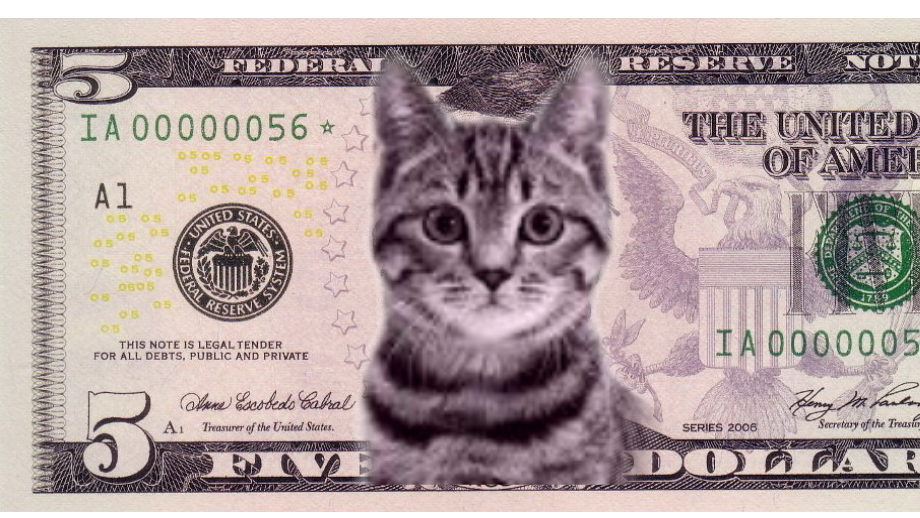 Petition · Change all the faces on bills to cats - United States ...