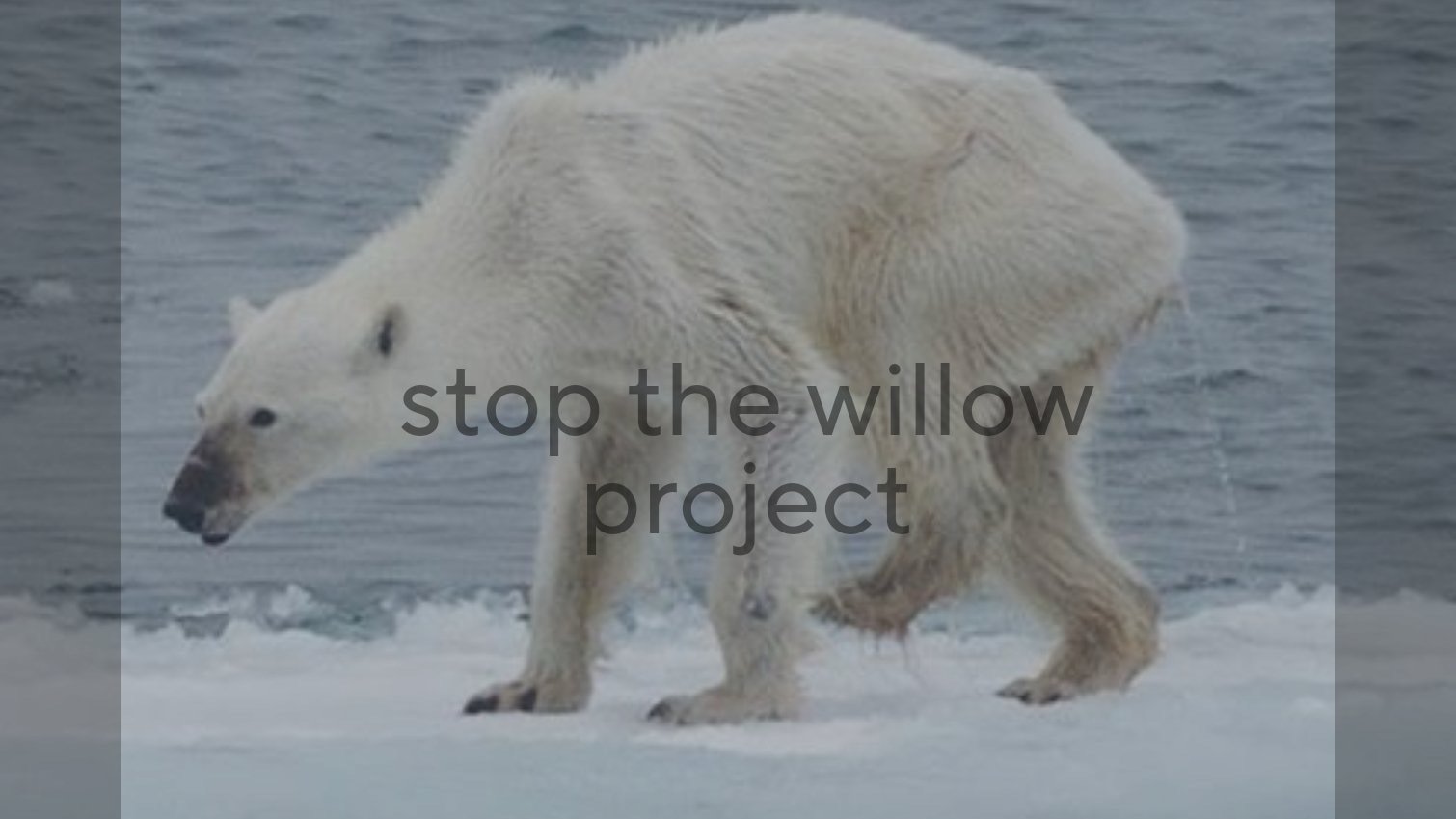Petición · NO AL PROYECTO WILLOW · Change.org