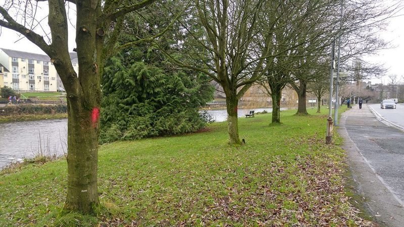 Petition · Save the Kendal trees · Change.org