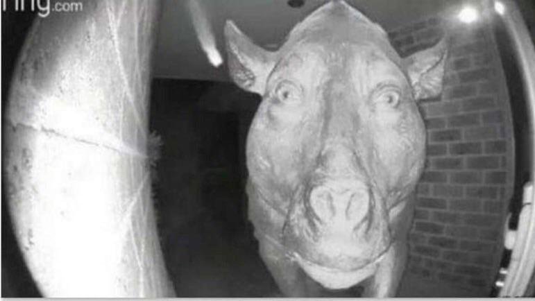 Petition · let me fart in class · Change.org