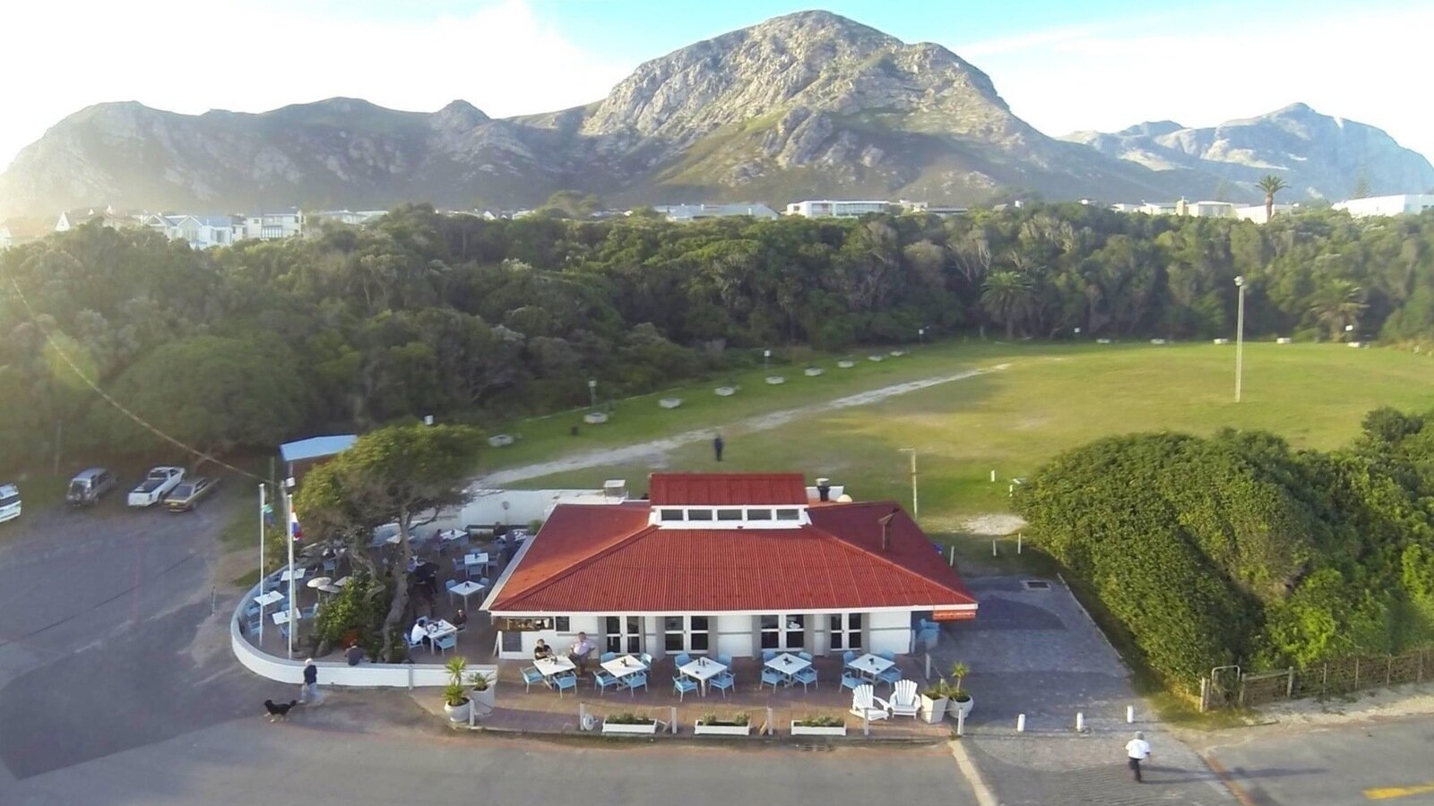 Petition · We love Dutchies - Hermanus, South Africa · Change.org