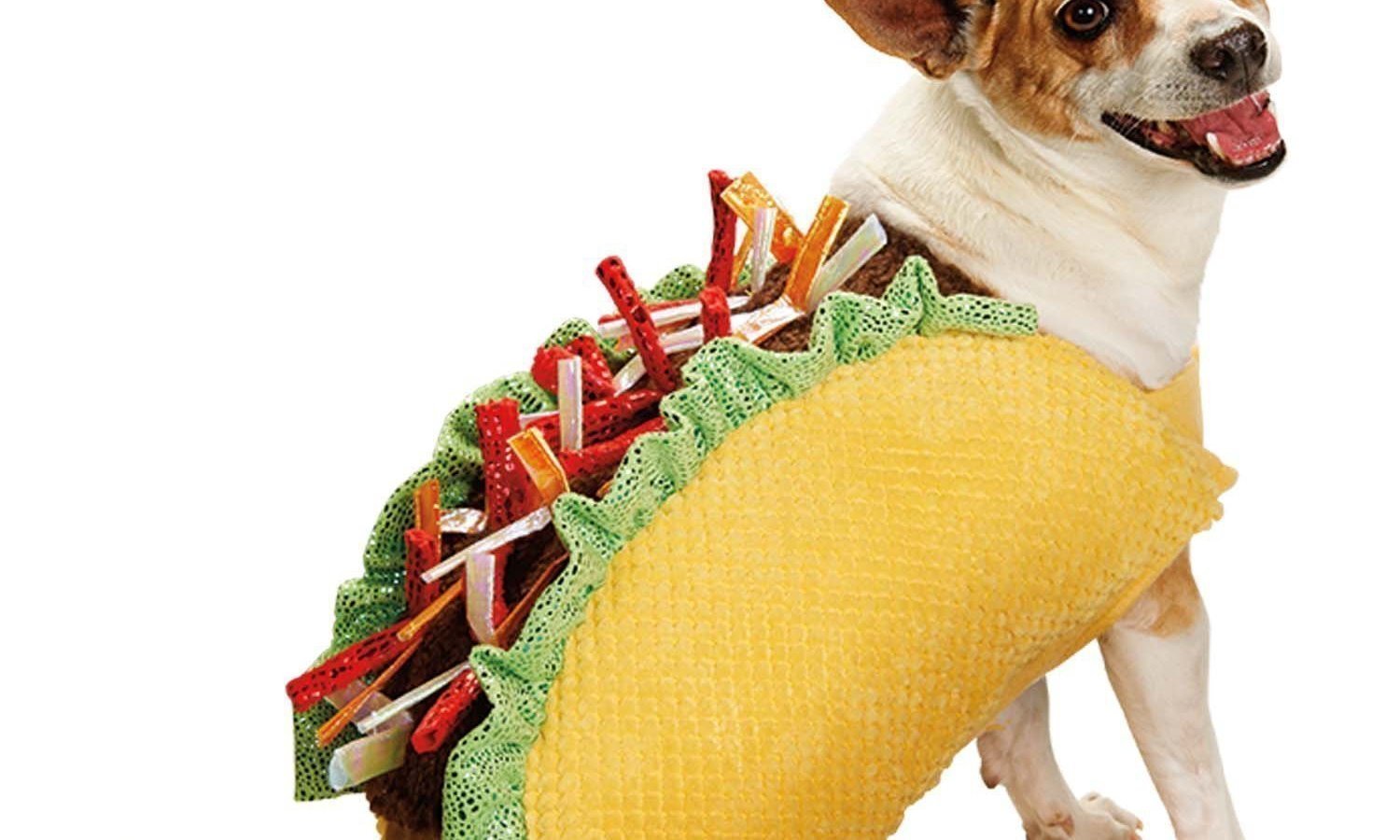 Petition · Make Taco Dog the EAST Logo - United States · Change.org