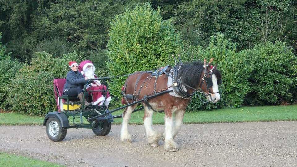 Petition update · Festive Greetings · Change.org · Change.org