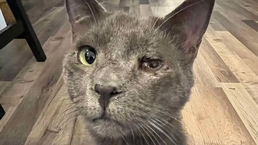 Petition · Lee County Demands Justice for Kevin!! - United States ...