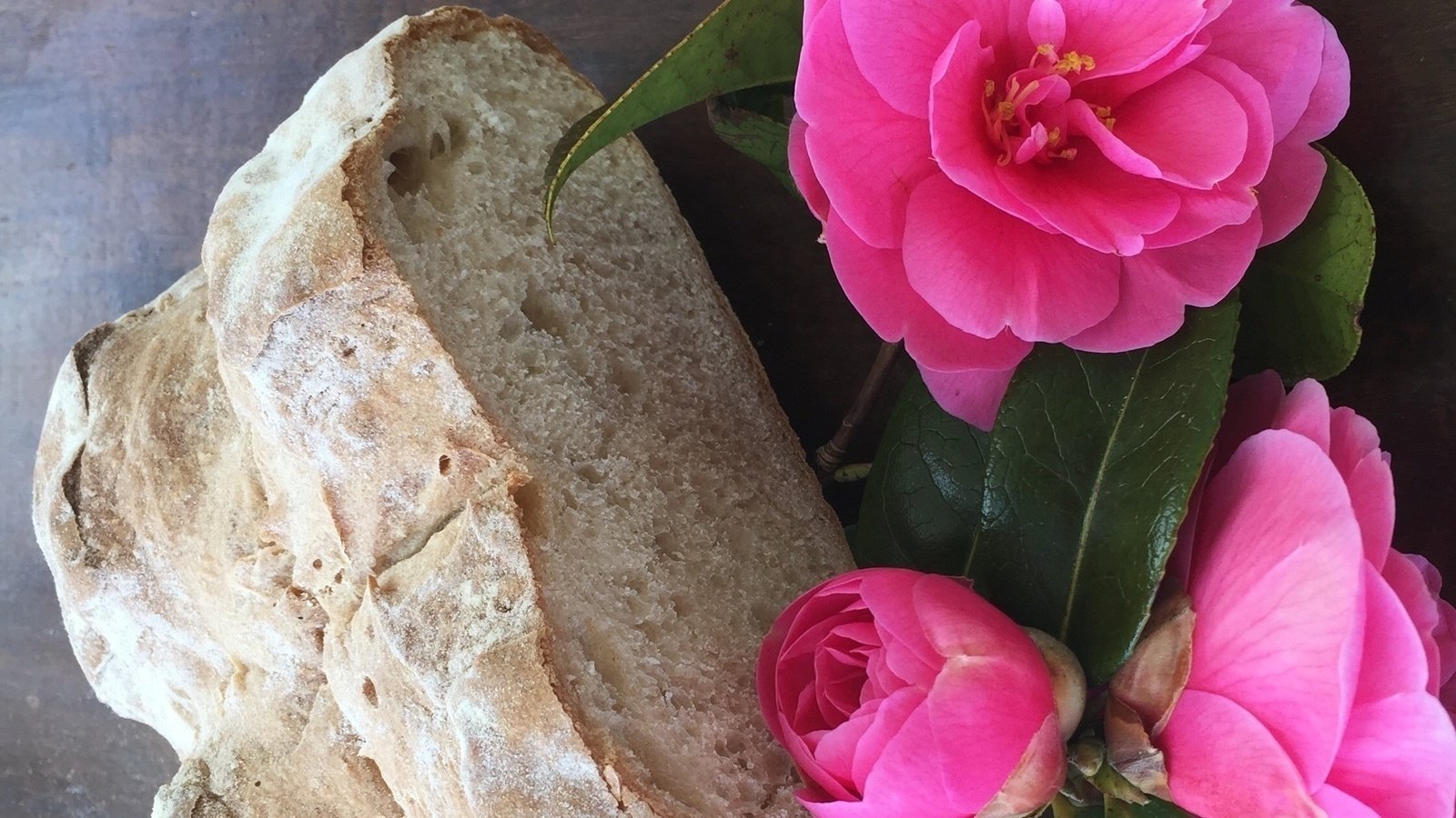 Petition · Bread and roses: exempt plant and seed sellers so we can ...