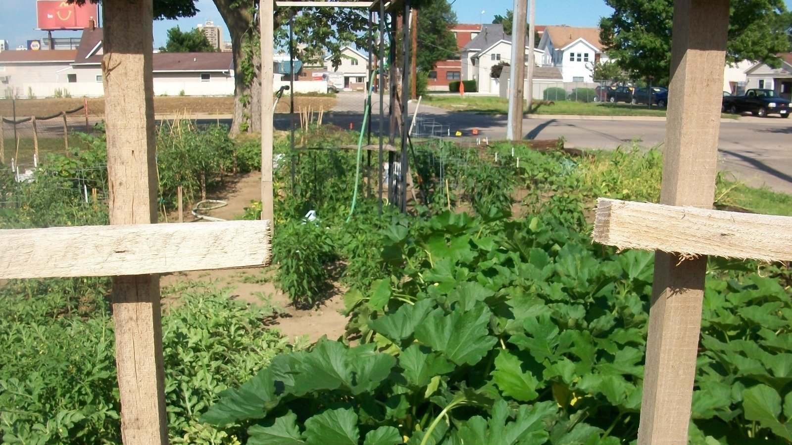 Petition · Let Ed garden in 2015 - United States · Change.org