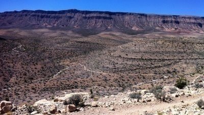 Petition · Change the name of Bears Best to Delgado Land - United ...