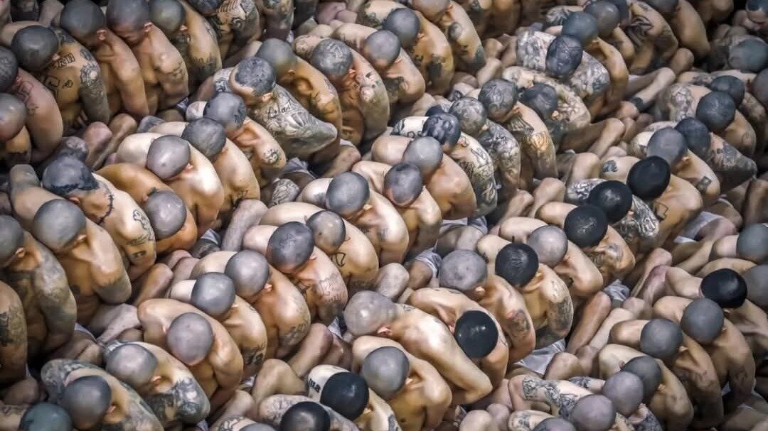 Petition · That El Salvador's CECOT Max Prison provide Standard ...