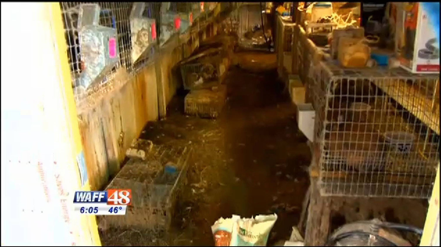 Petition · Please take back all of the abused rabbits who have been ...