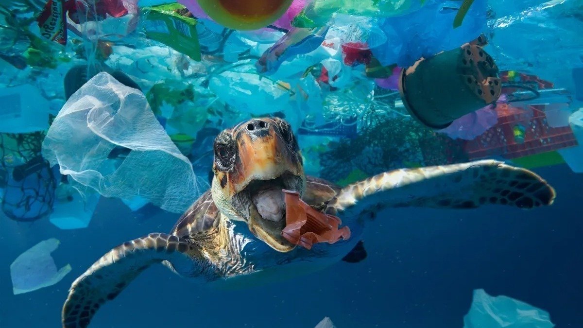 Petition · Stopping Ocean Pollution - United States · Change.org