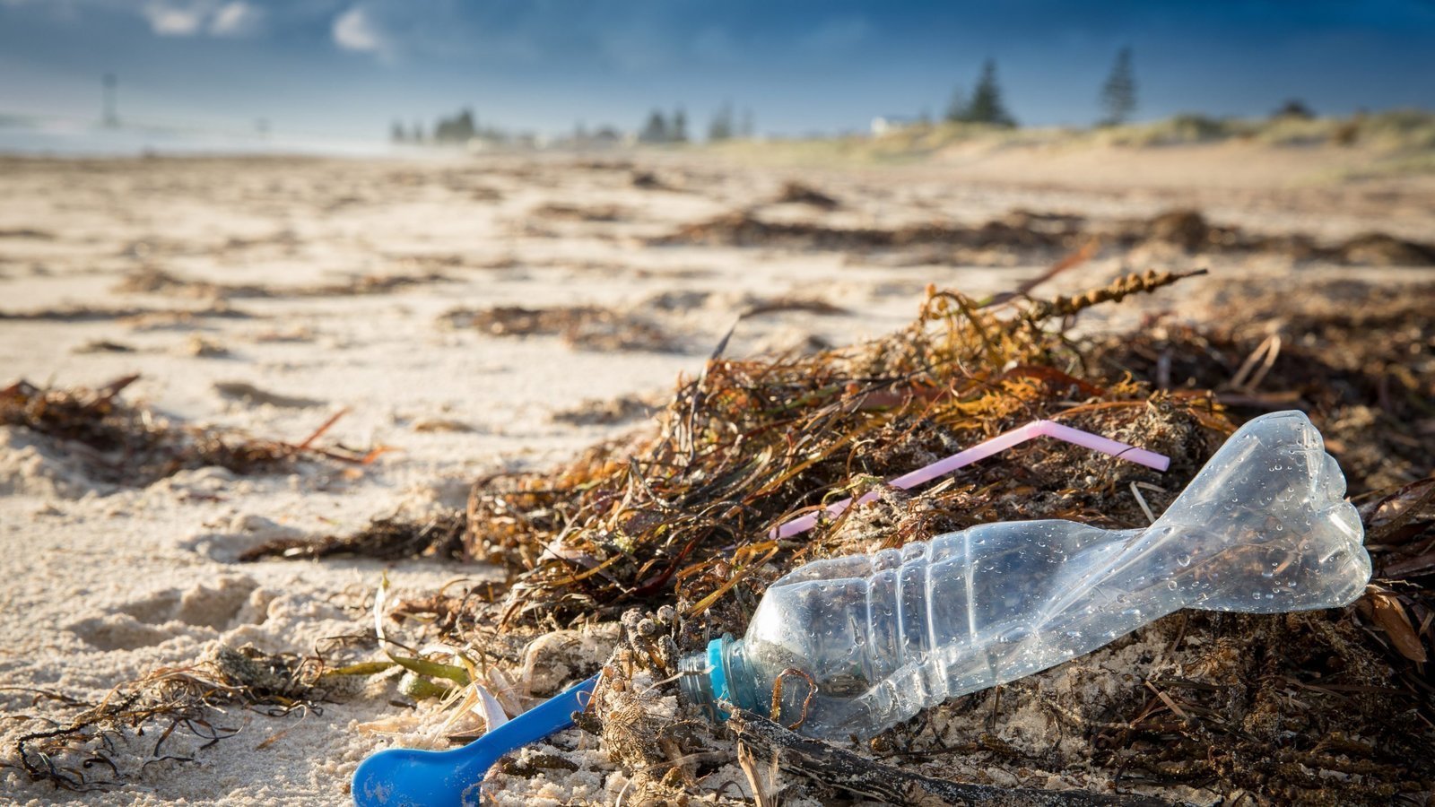 Petition · Stop Pollution on beaches - Australia · Change.org