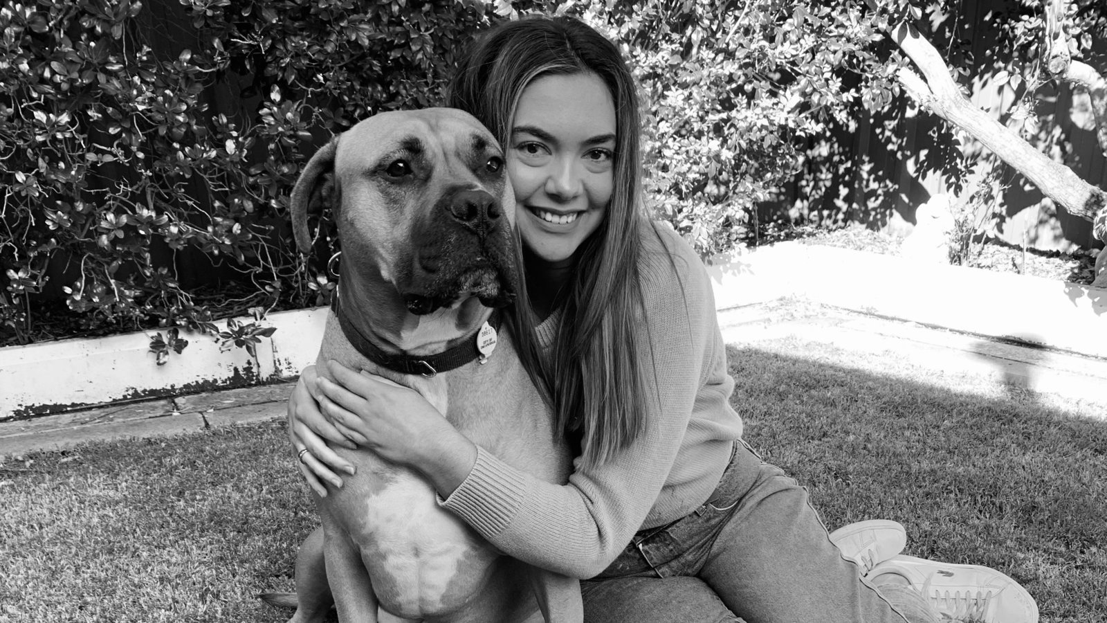 Petition · SAVE SOLOMON - Adelaide, Australia · Change.org