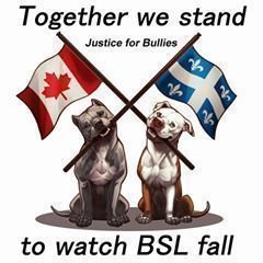 Petition · Help repeal the BSL against Bully breeds in Montreal or ...