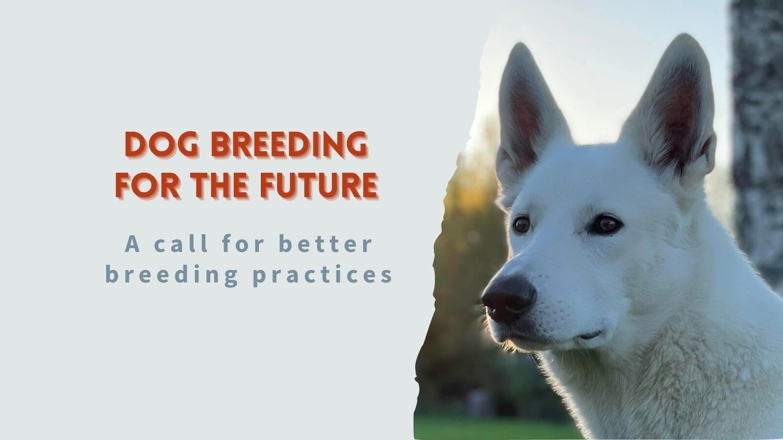 Petition · Our dog breeds are going extinct if we do not change our breeding practices. - Sweden ...
