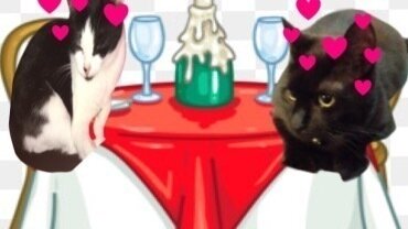 Petition · Let Mikey and Pickles Meet! - United States · Change.org