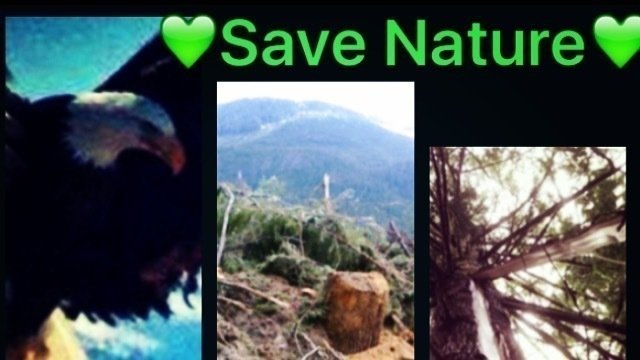 Petition · Save BC Forests - Canada · Change.org
