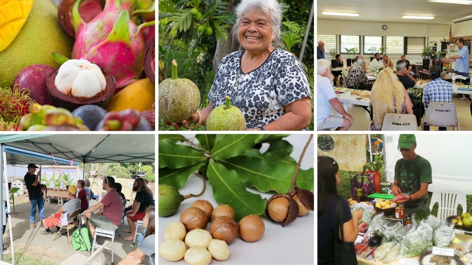 Petition · We Need an Edible Crops Extension Agent for West and South ...