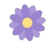 Petition · Make The Flower React Permanent - United States · Change.org