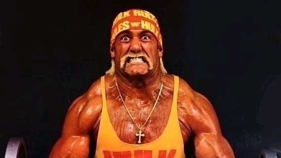 Petition · Get Hulk Hogan to where a maid dress. - United States ...