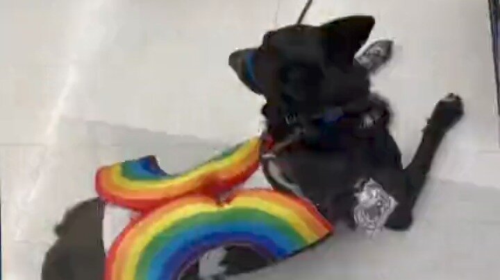 Petition update · Microchip · Change.org · Change.org