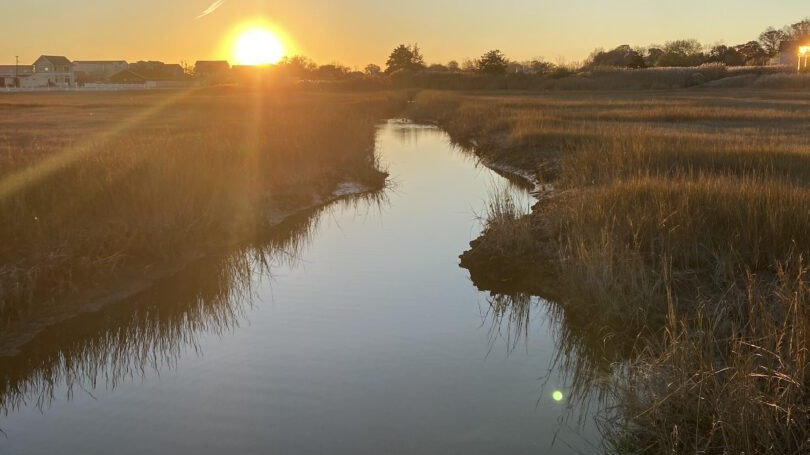 Petition update · Tweed expansion threatens our shoreline · Change.org ...