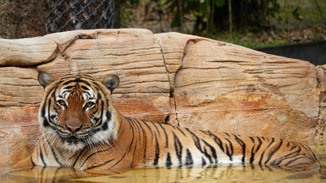 Petition · A petition for a law for criminal charges in memory of Eko ...