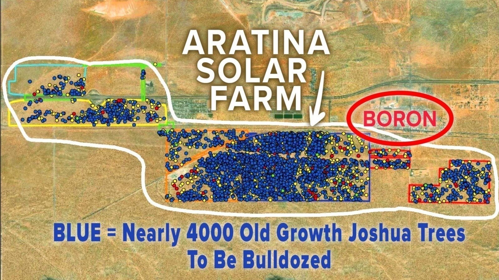 Petition · Stop the Destruction of an Old Growth Joshua Tree Forest by ...