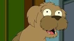 Petition · an episode of Futurama to be made in which Fry actually ...