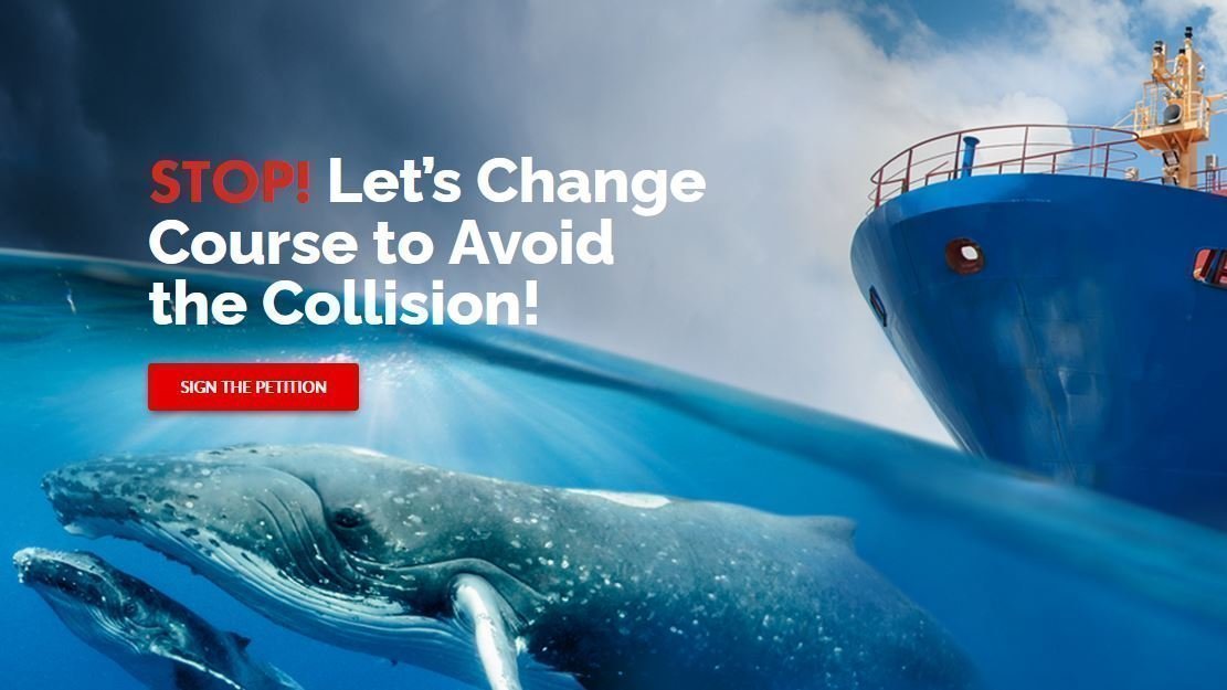 Petition · STOP! Let's Change Course to Avoid Marine Animal Collisions ...