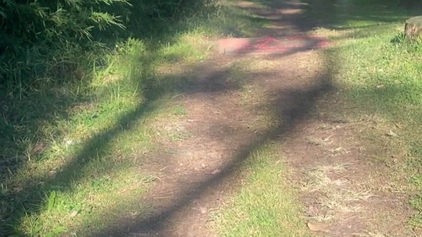 Petition · Improved Disability Access Across Hornsby Shire - Australia ...
