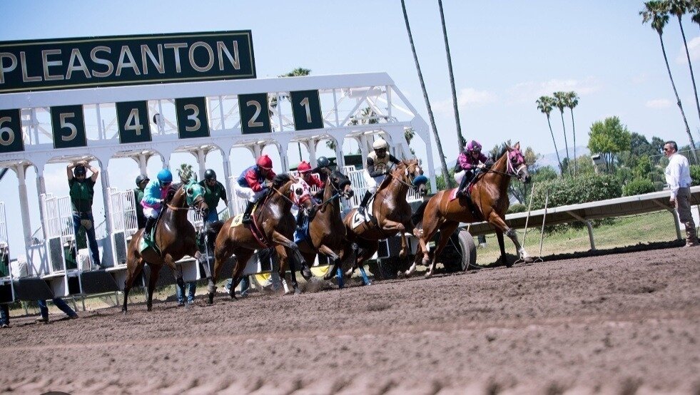Petition · Reinstate Horse Racing at the Alameda County Fair in ...