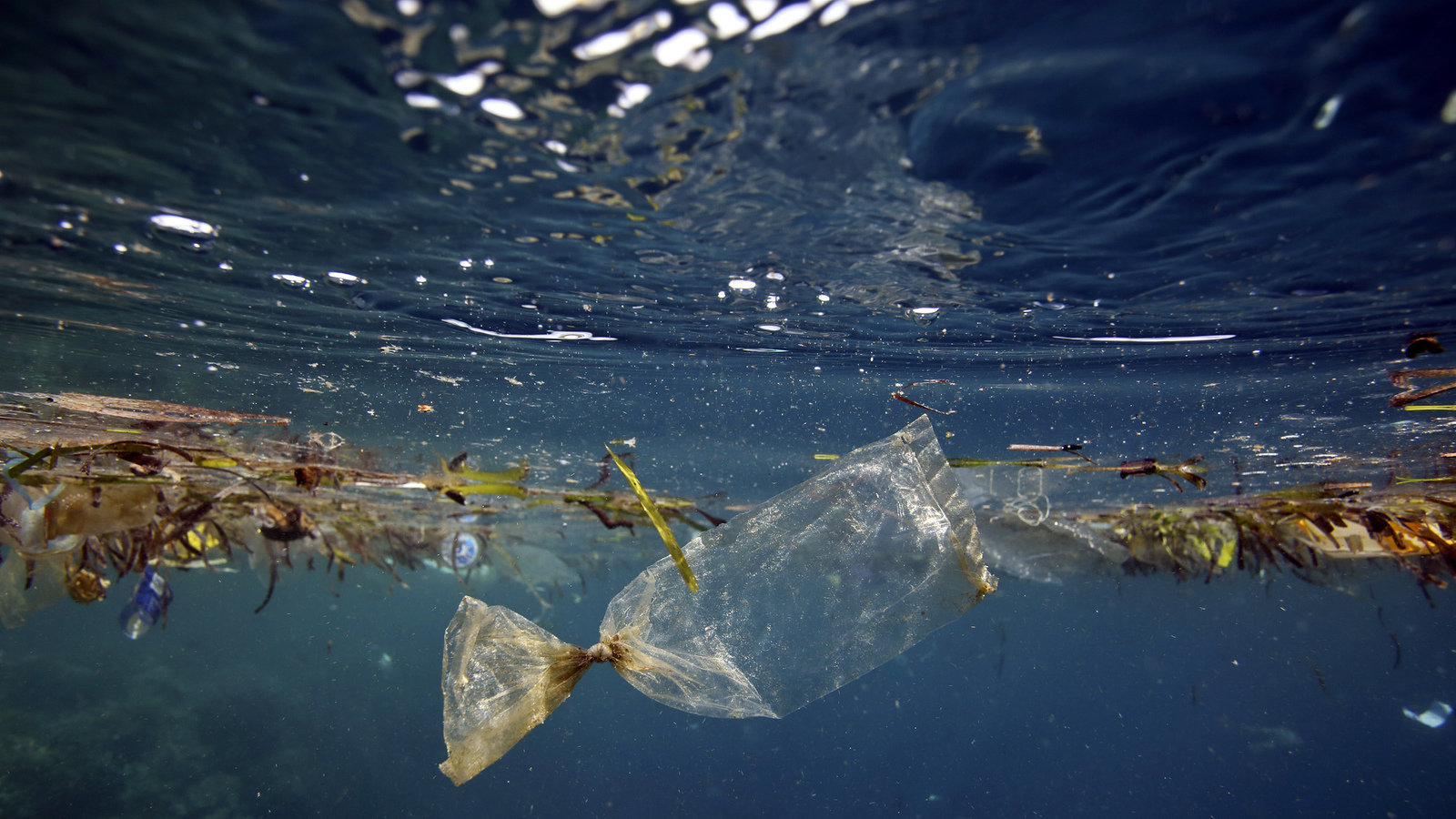 Petition · SAVE OUR OCEANS - United Kingdom · Change.org
