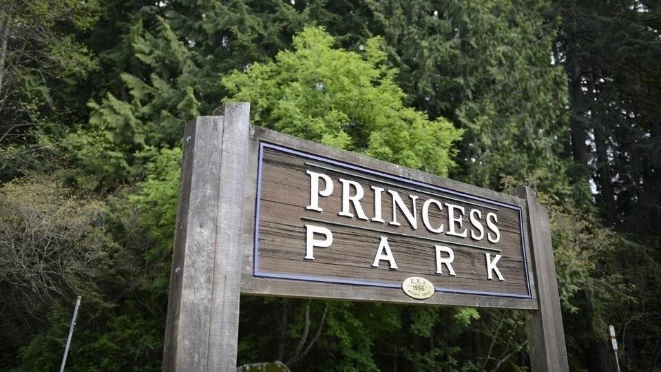 Petition · Demand Increased Night-Time Security for Princess Park ...