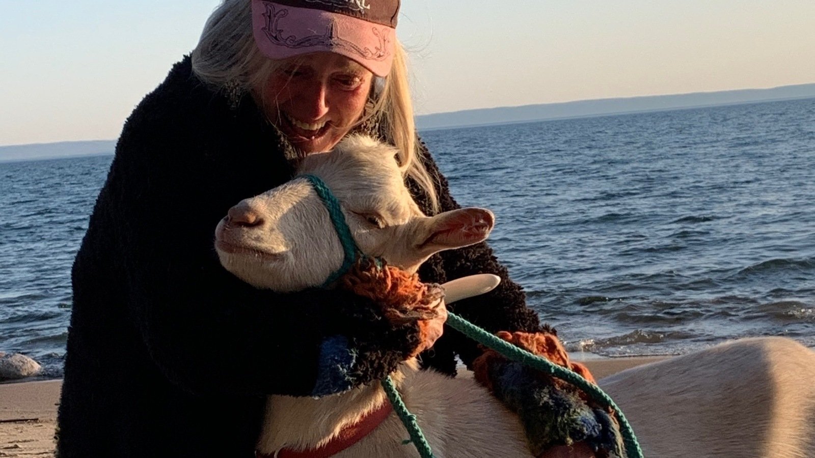 Petition · Help save Stanley the goat - Canada · Change.org