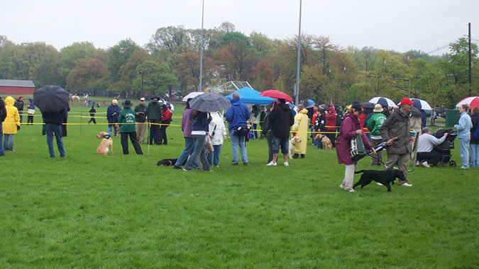 Petition · Protect Skelly Field from parking lot constuction - United ...