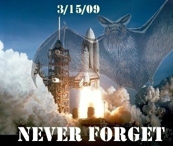 Petition · Have Spacebat be declared an honorary astronaut by NASA ...