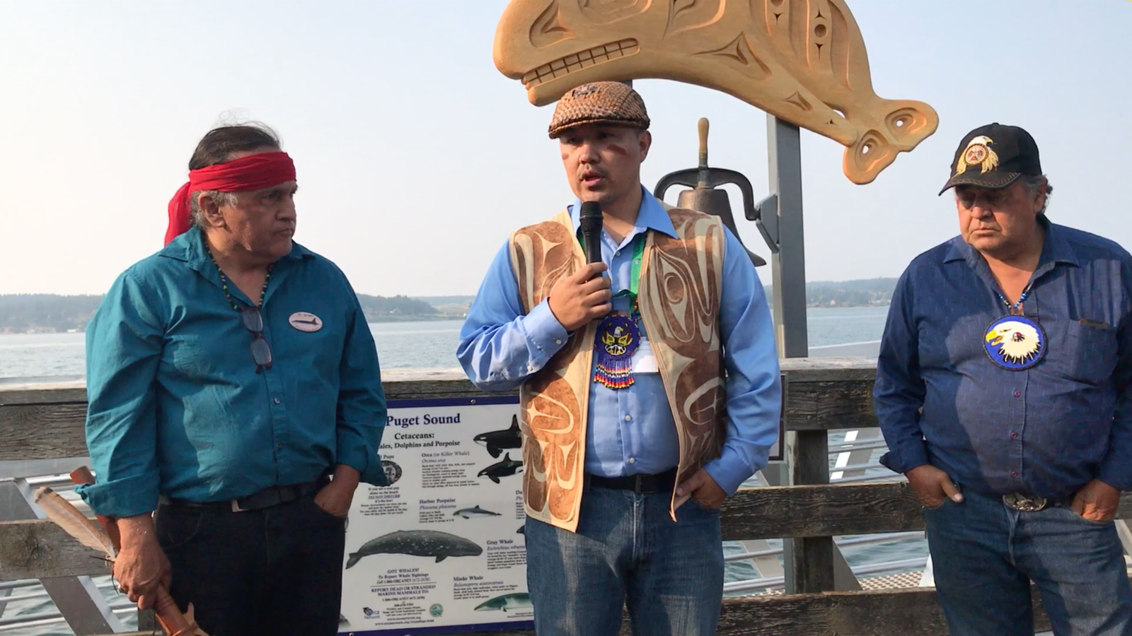 Petition · Bring Tokitae Home! - United States · Change.org